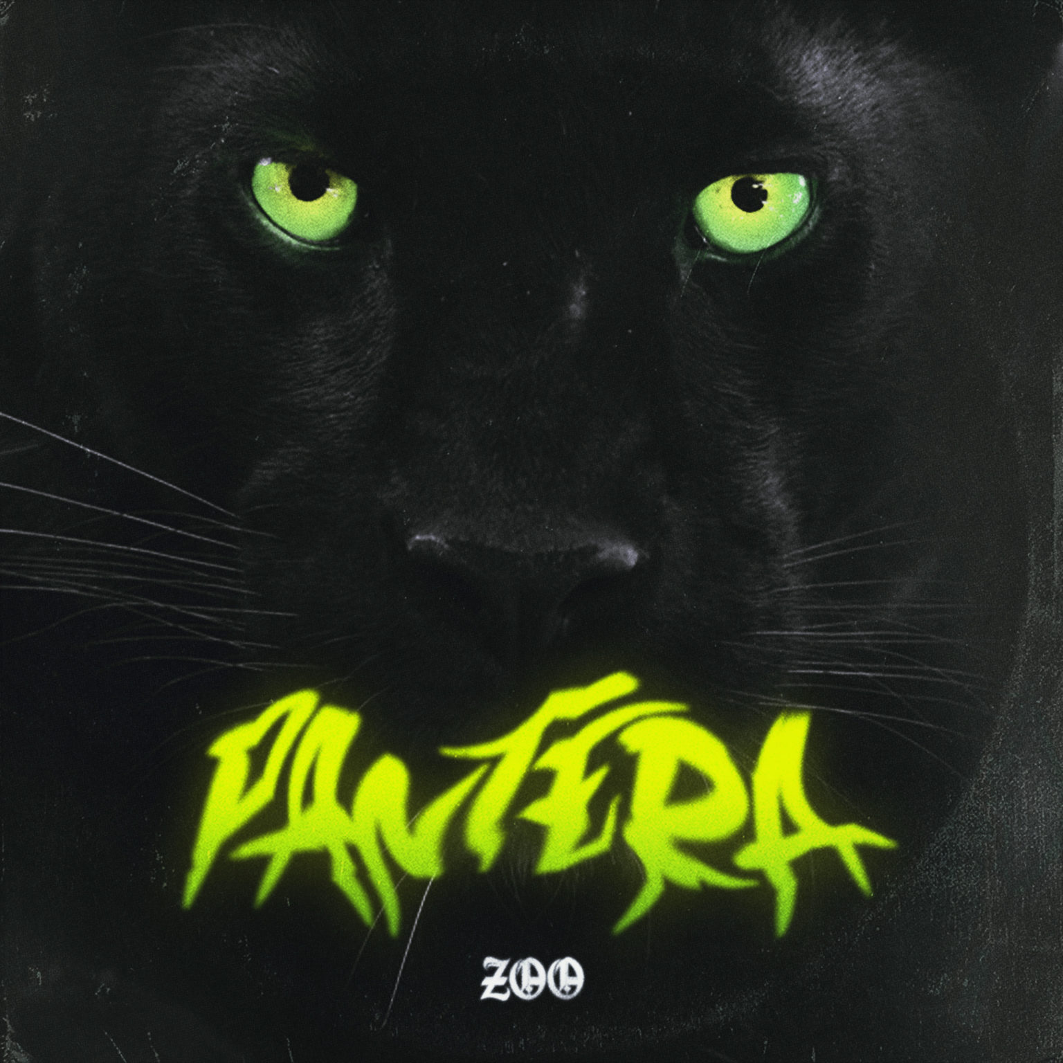Cantora ZOO aquece lançamento de álbum com a dançante 'Pantera' - Super ...