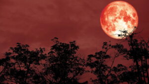 Eclipse lunar de 2025 trará impressionante Lua de Sangue; veja data ...