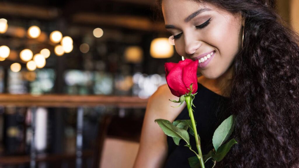 Uma rosa vermelha no lar pode carregar um significado mais profundo do ...