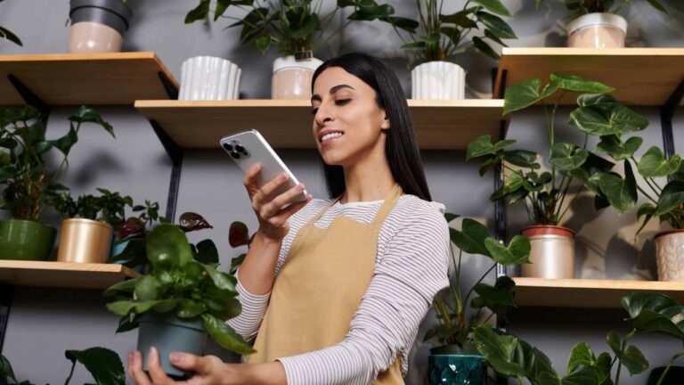 Identificar plantas pela câmera do celular ficou fácil com aplicativo ...