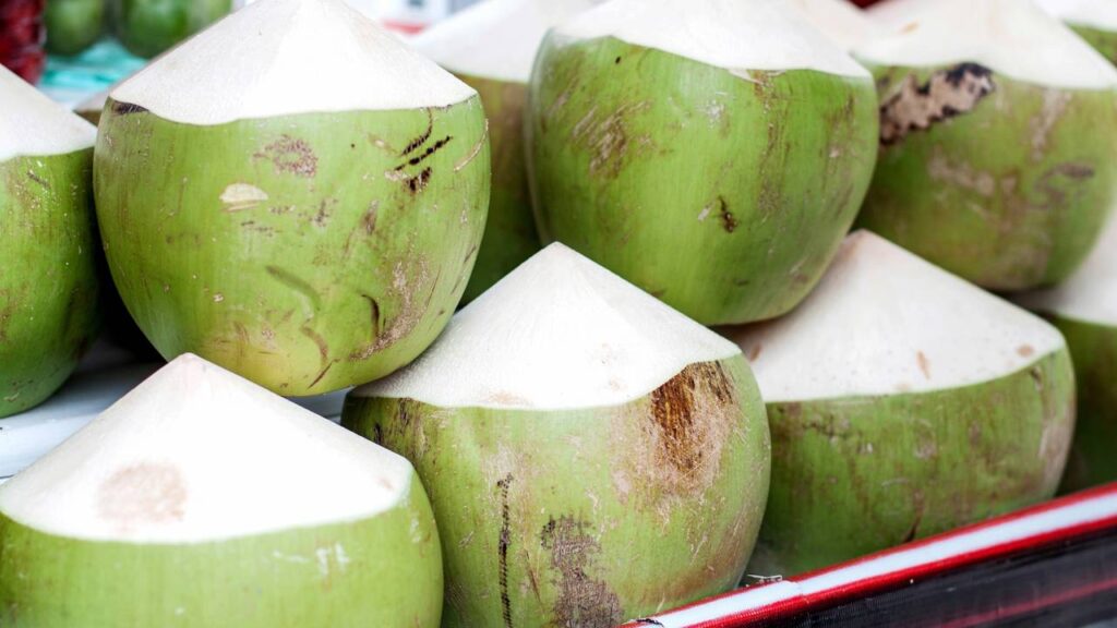 Principais benefícios do coco que fazem essa fruta ser tão valorizada ...
