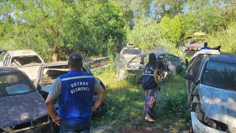 Detran RJ encontra cemitério clandestino de carros em Itaboraí - Super ...